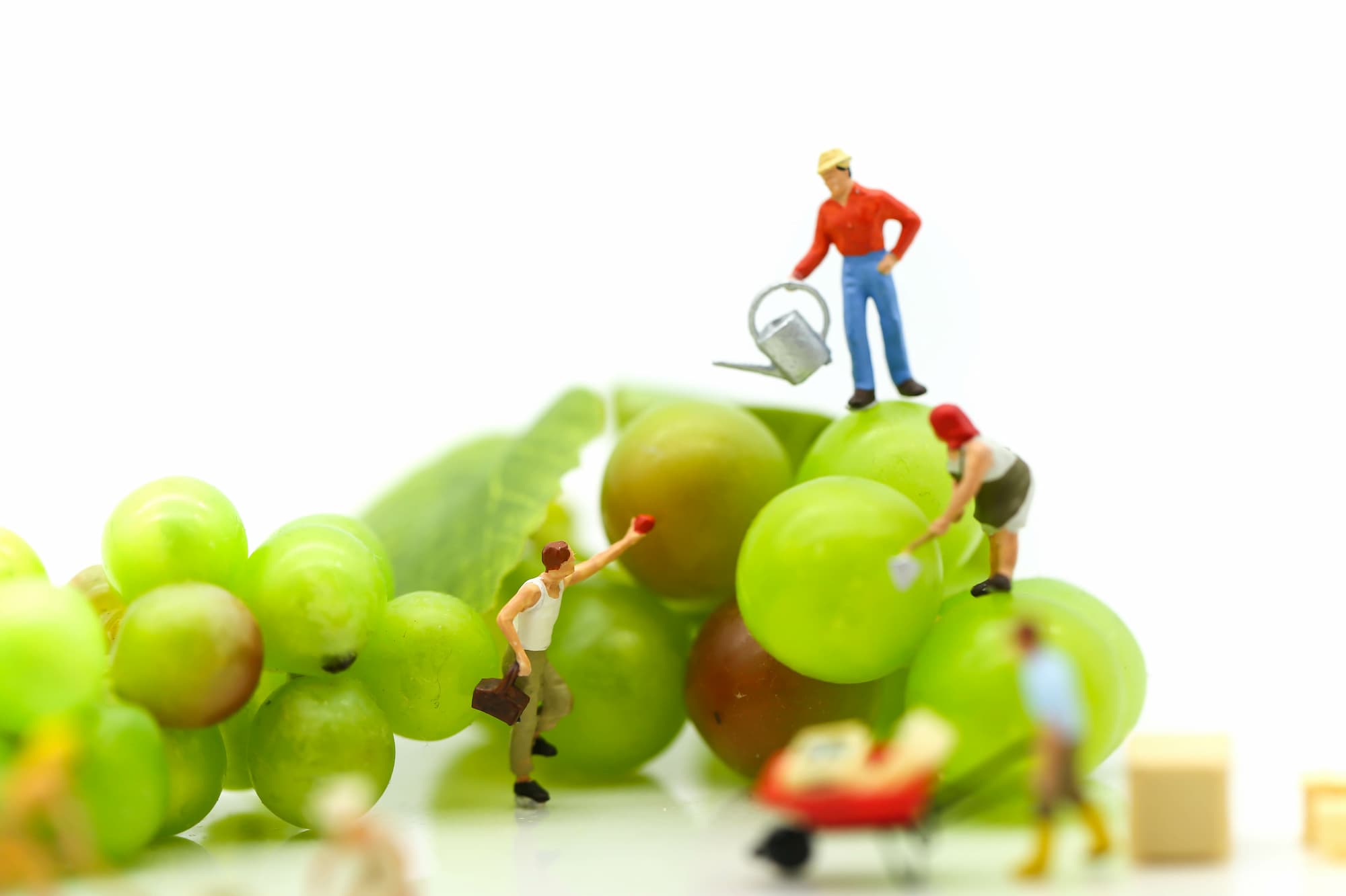 Hoe Daily Paper 'Relevantie' heeft uitgespeeld | Huray